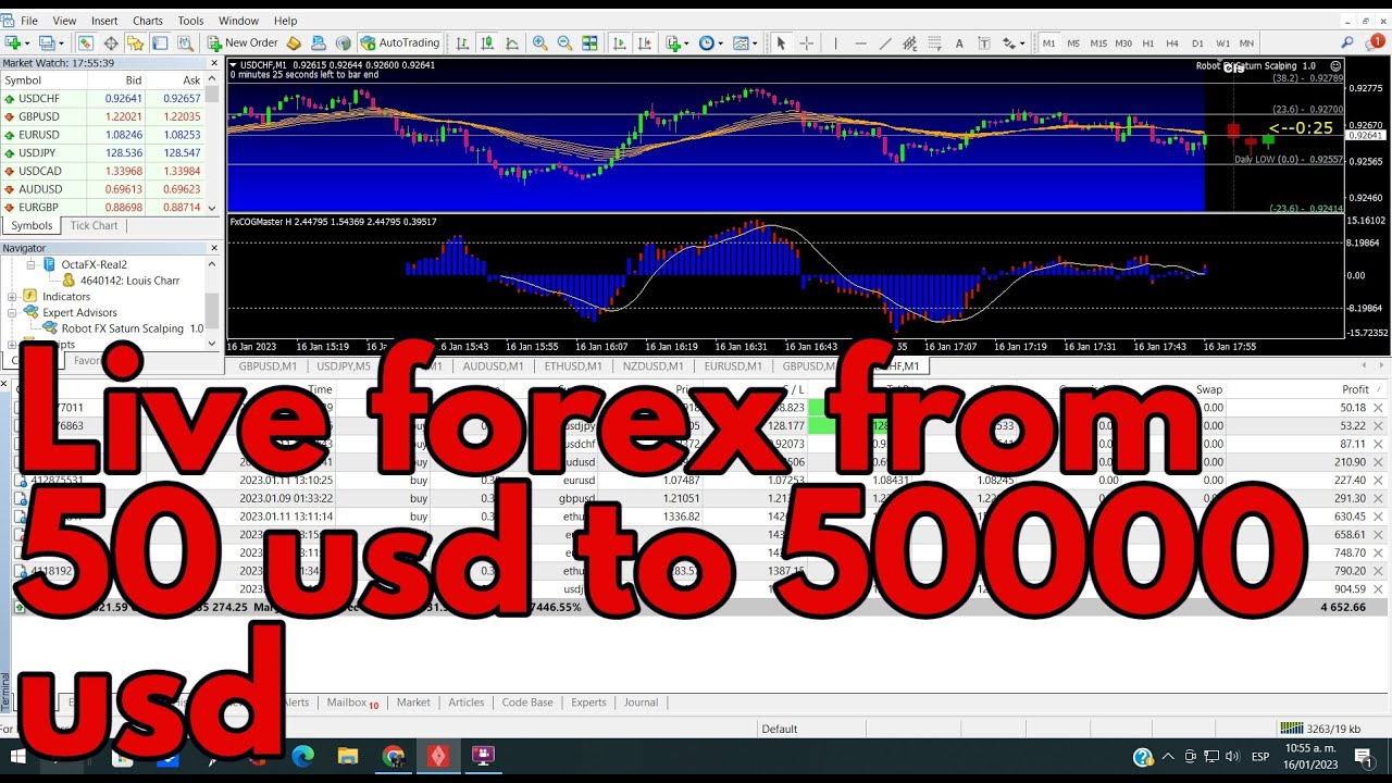 Automated Forex From 50 Dollars To 50000 Dollars Live Robot Trading automated-forex-from-50-dollars-to-50000-dollars-live-robot-trading