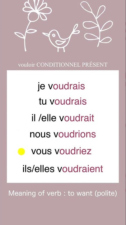 I will pronounce the conjugation of the French verb “vouloir” in the ...