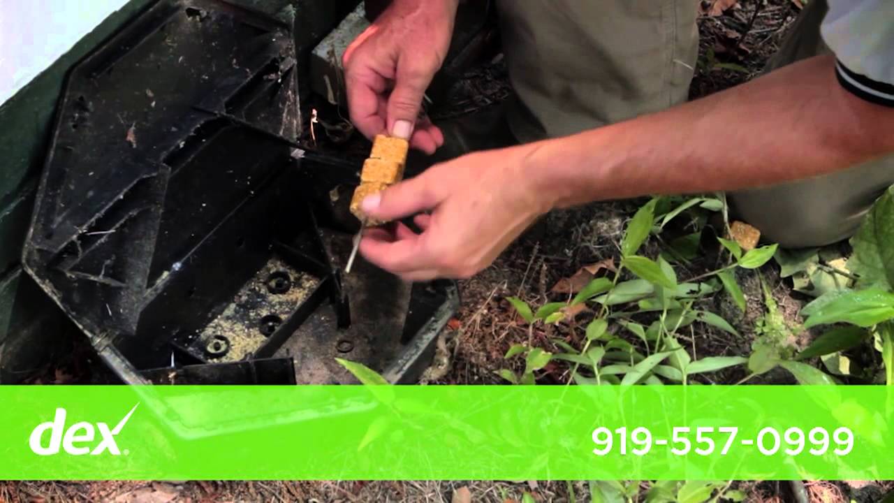 Saber Exterminating - YouTube