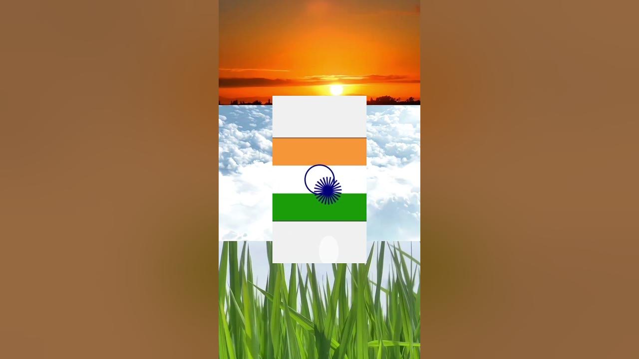 Happy Independence Day🧡🤍💚|#shorts #tiranga #coding #15august #webdevelopment #shortsfeed # ...
