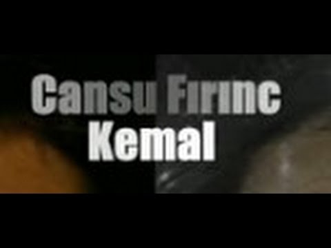 kırgın çiçeklerin gerçek isimleri