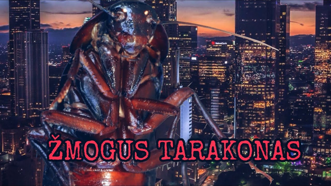 ZMOGUS TARAKONAS - PRADZIA ( ZMOGUS VORAS 2004 ) - YouTube