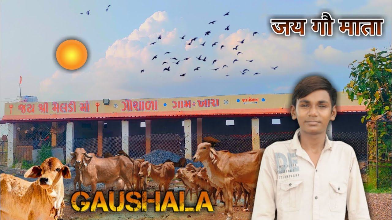 Gaushala \\ gaumata🐄 \\ visit gaushala in my village - YouTube