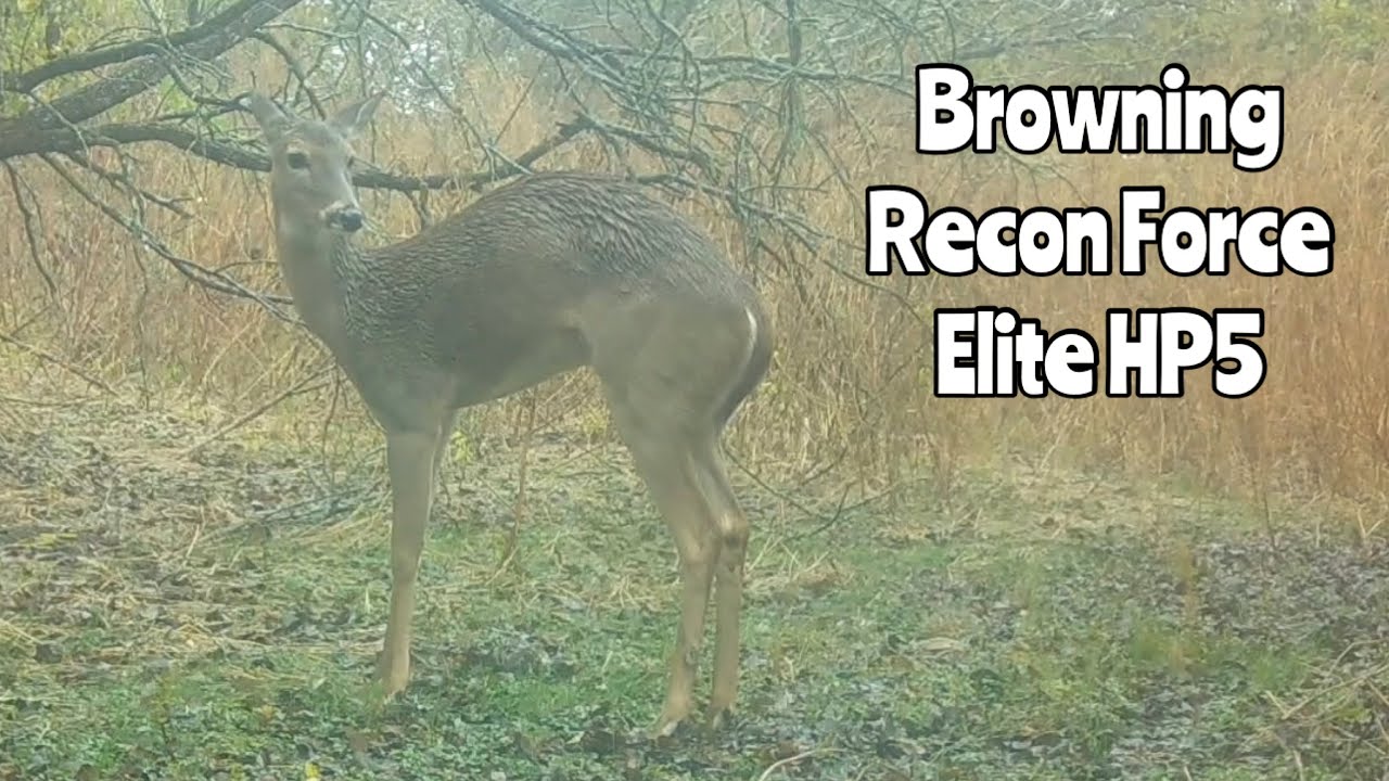 Browning Recon Force Elite HP5 Trail Camera Dec.1, 2024- Jan. 19, 2025 ...