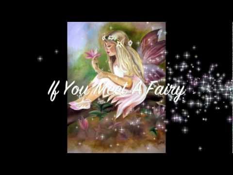 If You Meet A Fairy a poem written by Rose Fyleman
