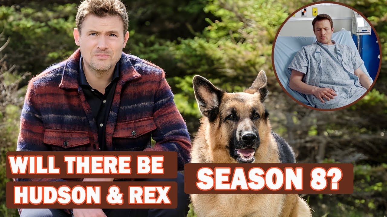 Will Hudson & Rex Return Season 8 Get Canceled After John Reardon's Cancer Diagnosis? - YouTube