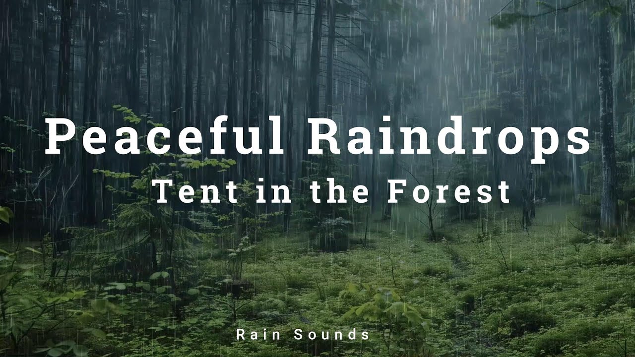 Peaceful Raindrops. Tent in the forest. The Relaxing Sound of Rain will ...