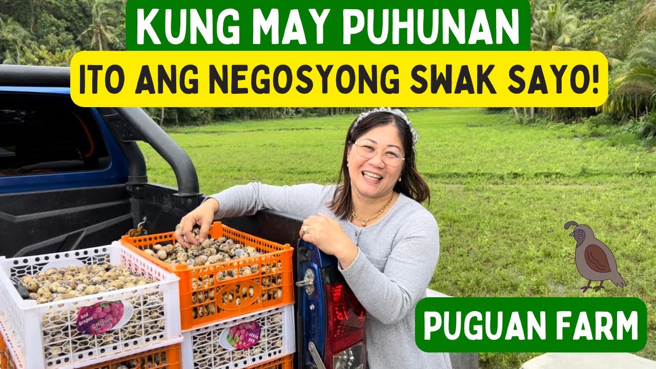 KUNG MAY PUHUNAN, ITO ANG NEGOSYONG SWAK SAYO | PUGUAN FARM | SOLLE'S ...