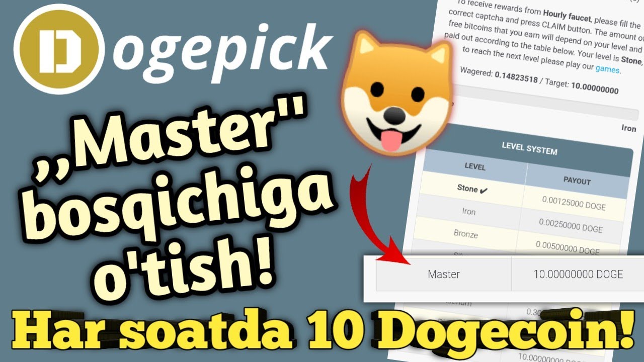 DogePick / SAYT ORQALI HAR SOATDA 10 DOGECOIN ISHLASH! - YouTube