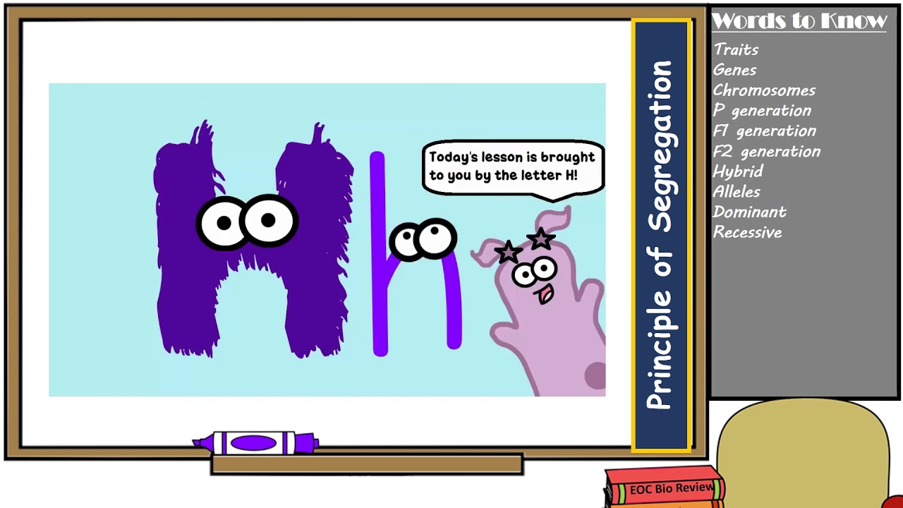 Genetics Part 1 - YouTube