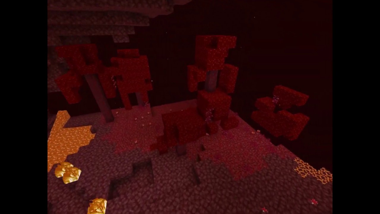 Minecraft nether Basalt deltas and Netherwart forest biome - YouTube