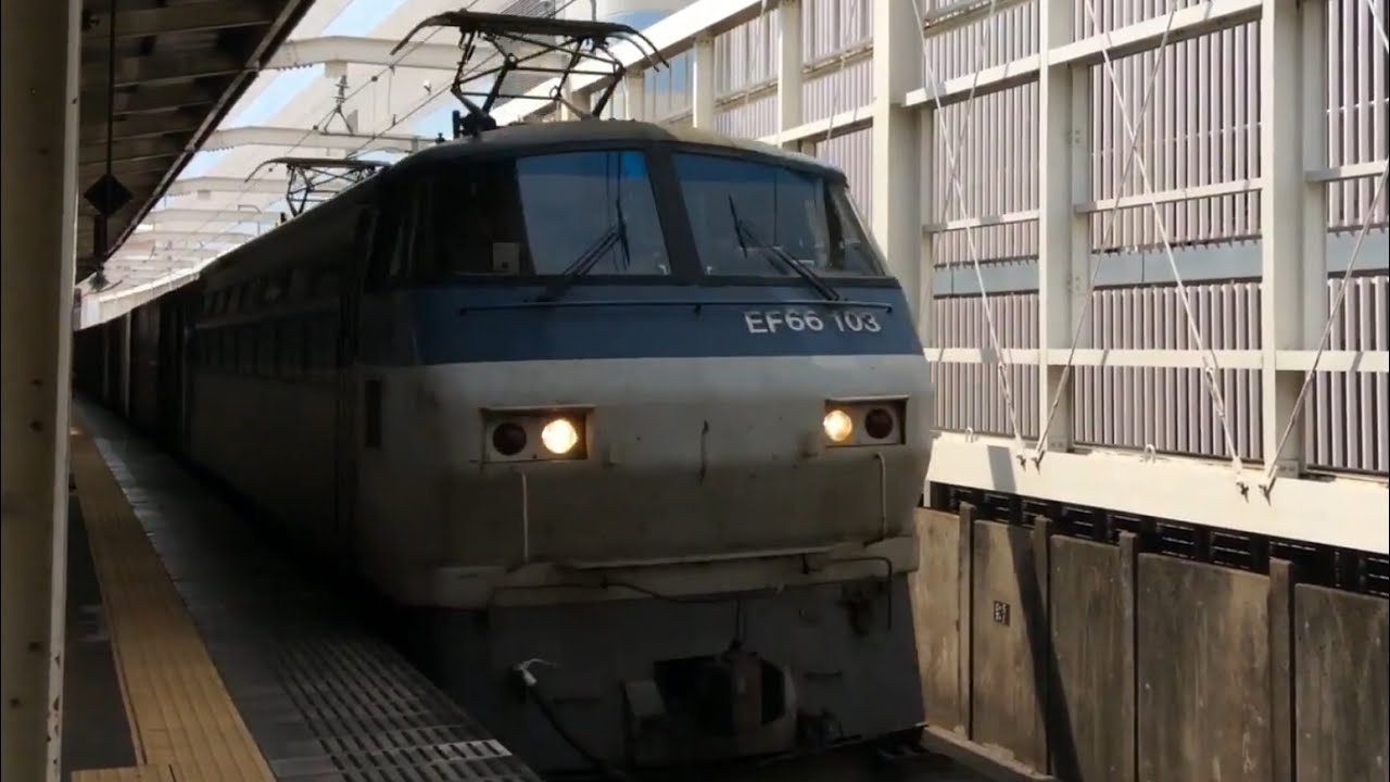 【JR東海】貨物列車EF210-125・EF66-103前期(サメ) 浜松駅通過 - YouTube
