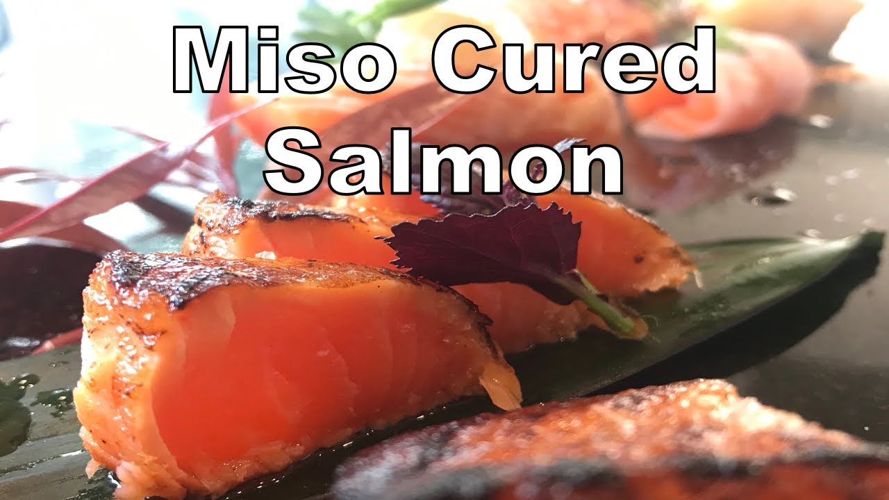 Citrus miso cured salmon - YouTube