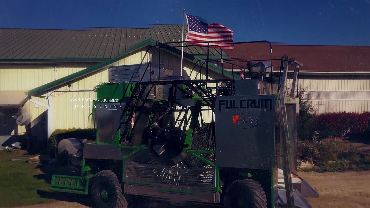 ELIFAB & PACMAN V3 - YouTube