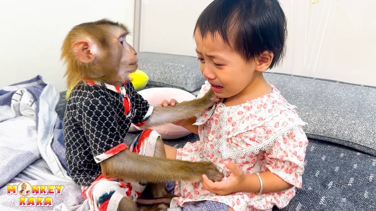 Monkey Kaka comforted Diem when he saw her crying. - YouTube
