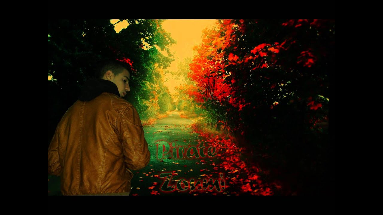 Pirate Zoumi 2014 Track C²est Dommage Feat Cheb Simo (Remix) - YouTube