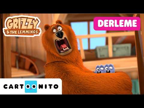 ÇILGIN Hayvanlar Kaosu🐻💥 | GRIZZY VE LEMMINGLER | Mega Derleme | @CartoonitoTurkiye
