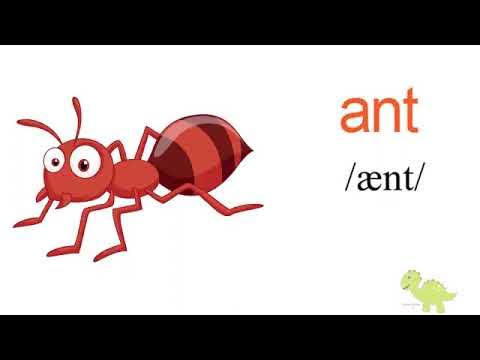 English 1 Unit 1 Family _I Learn Smart Start 1 - YouTube