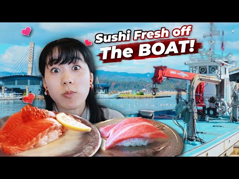 Himi: Where Japan's Sushi is Fished