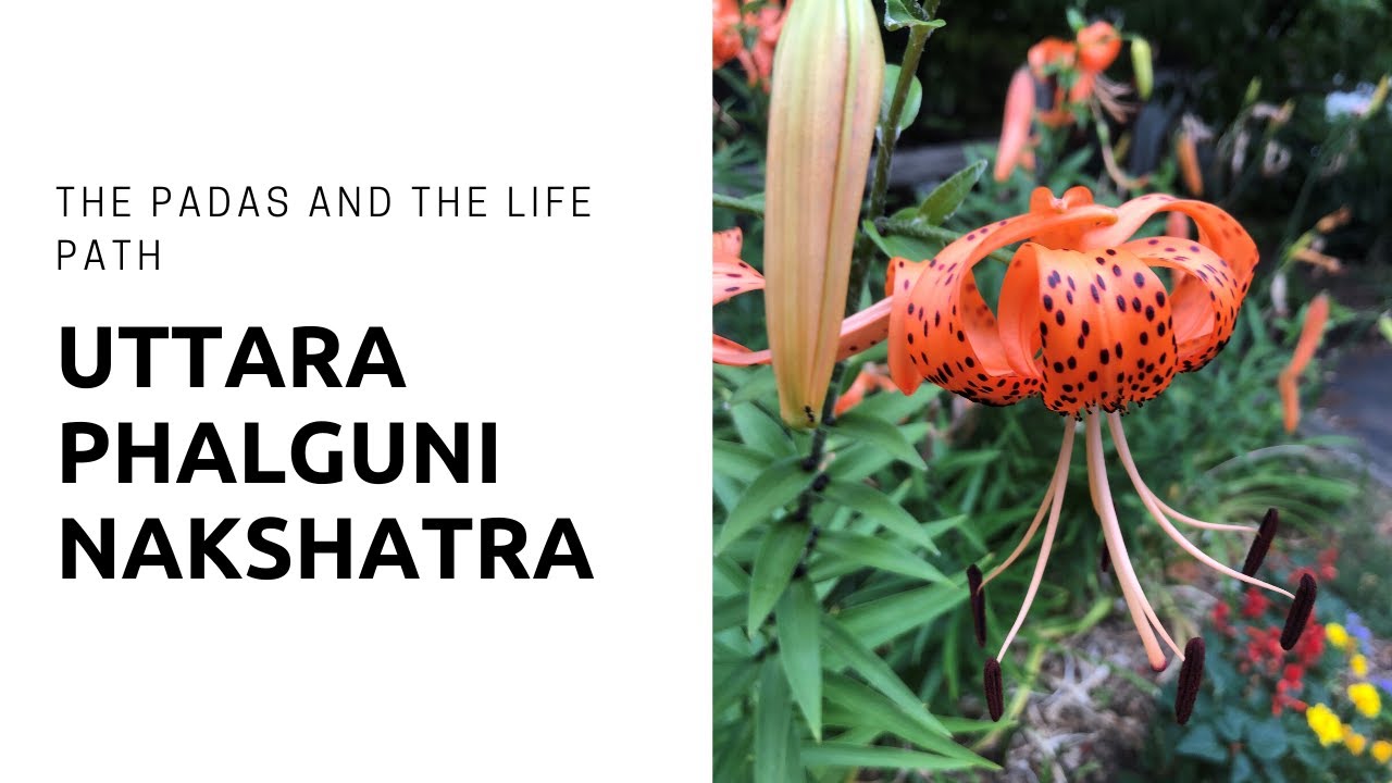 Uttara Phalguni Nakshatra: The Padas and the Life Path - YouTube