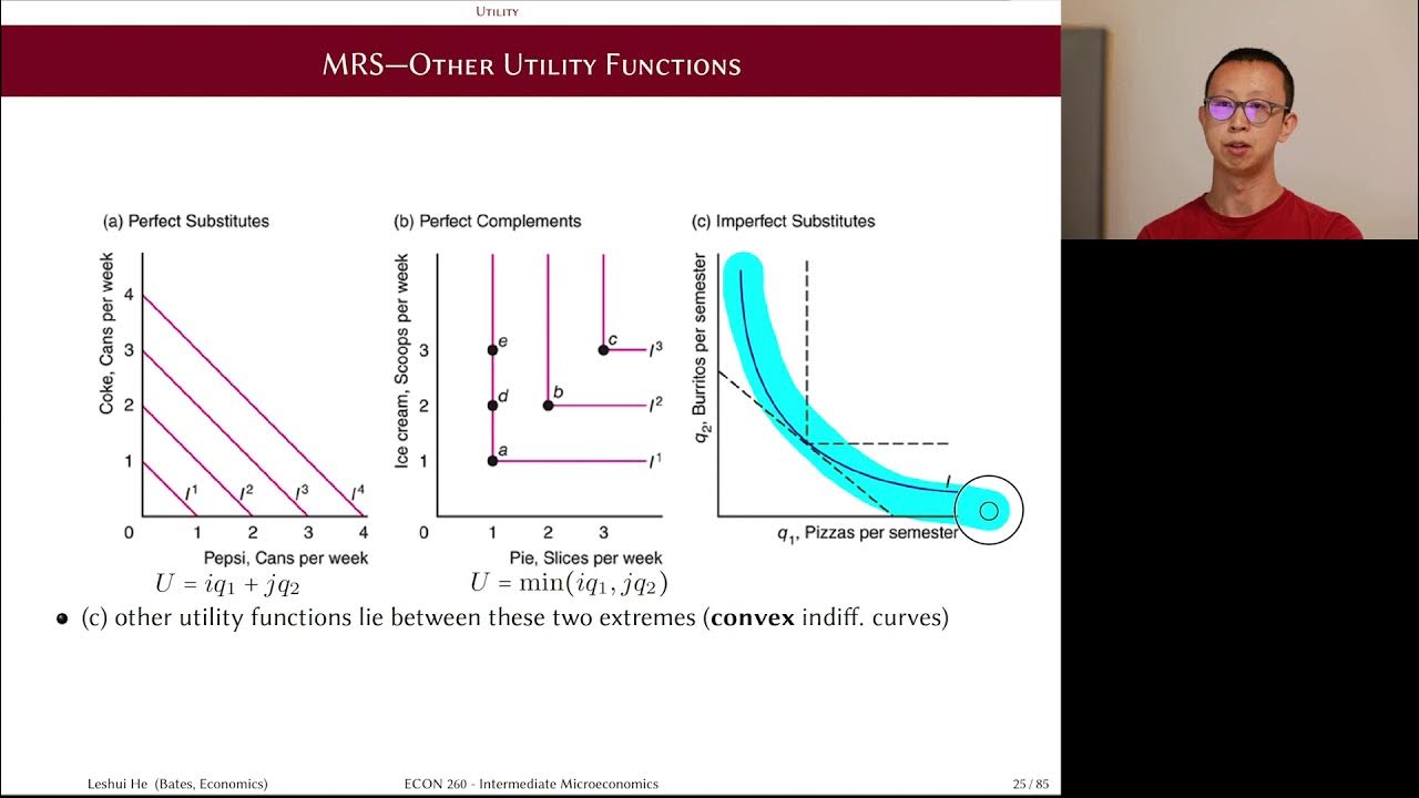 2 4 More Forms of Utility Functions - YouTube