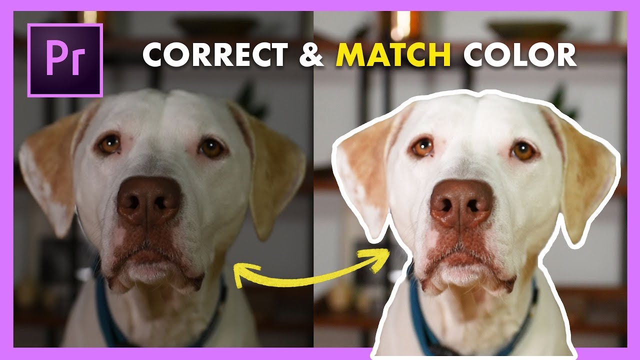 Color Match Different Camera Shots FAST! Adobe Premiere Pro CC Tutorial ...