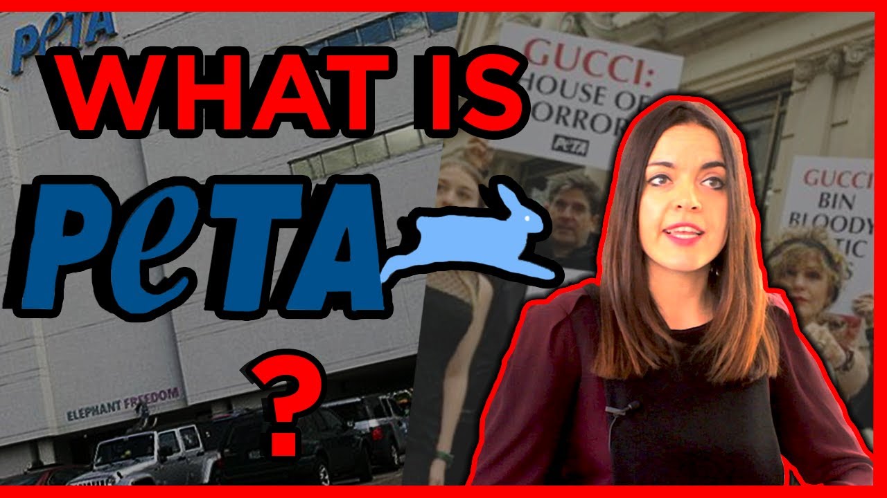 What is PETA? (Interview with PETA London) - YouTube