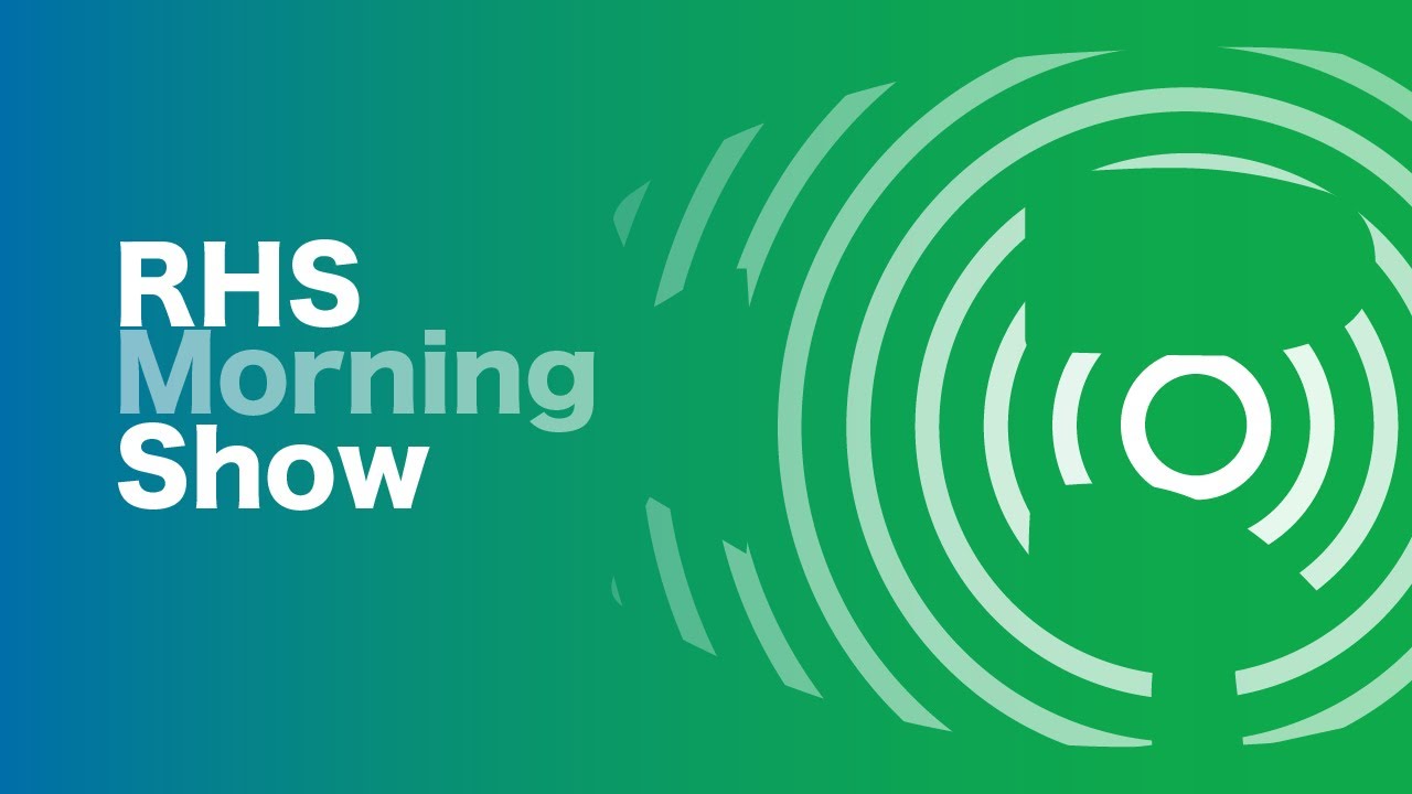 RHS Morning Show | December 12, 2024 - YouTube