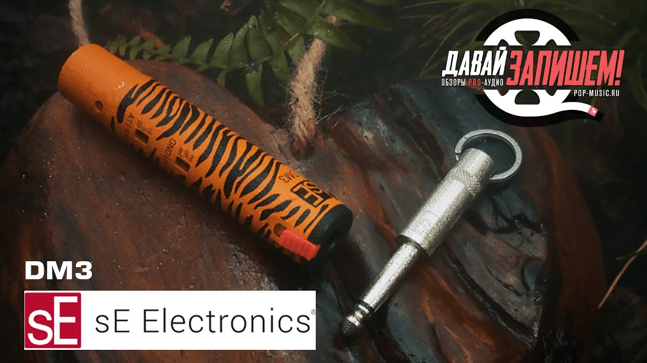Ди-бокс sE Electronics DM3 - YouTube