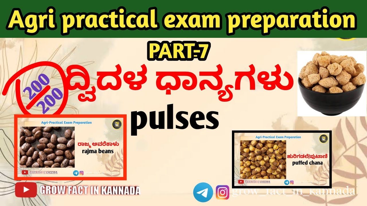 Part-7 pulse | ದ್ವಿದಳ ಧಾನ್ಯಗಳು |agri practical exam preparation #agri #practical_exam - YouTube
