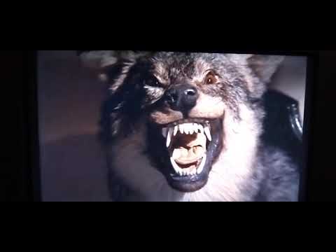 Dr. Jekyll and the Werewolf 1972. Harvest Rain - Paler than a Sheet