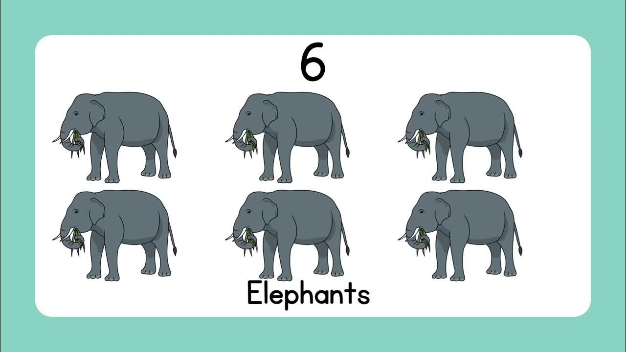 Let's Count to 10 With Animals! Children's Learning Video: Toddler ...