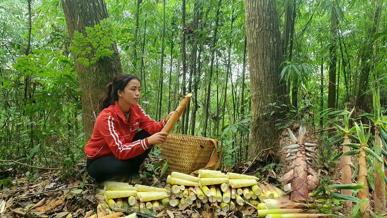 My daily life. Harvesting Bamboo Shoots & Jungle Vegetable Go market ...
