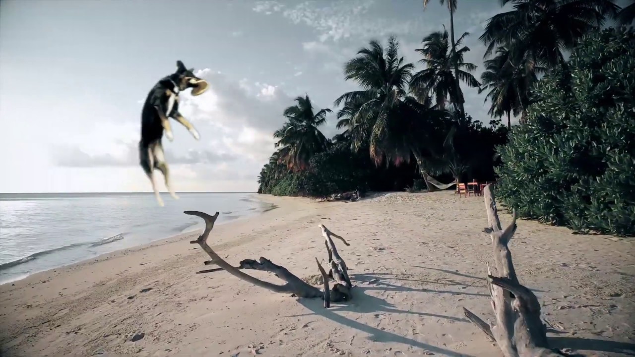 Dhani Harrison - Motorways (Erase It) (Official Video) - YouTube