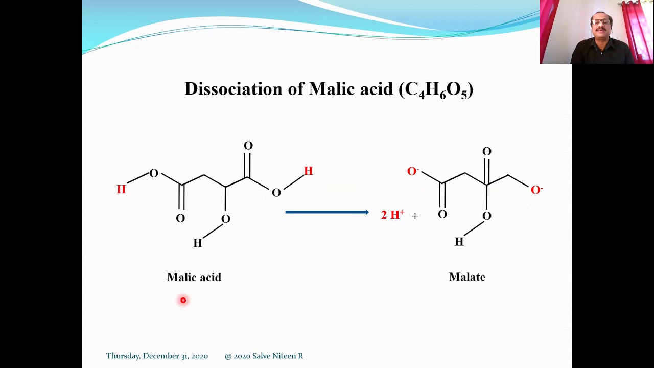 Opening & Closing of Stomata- Levitt hypothesis/Active Proton transport ...