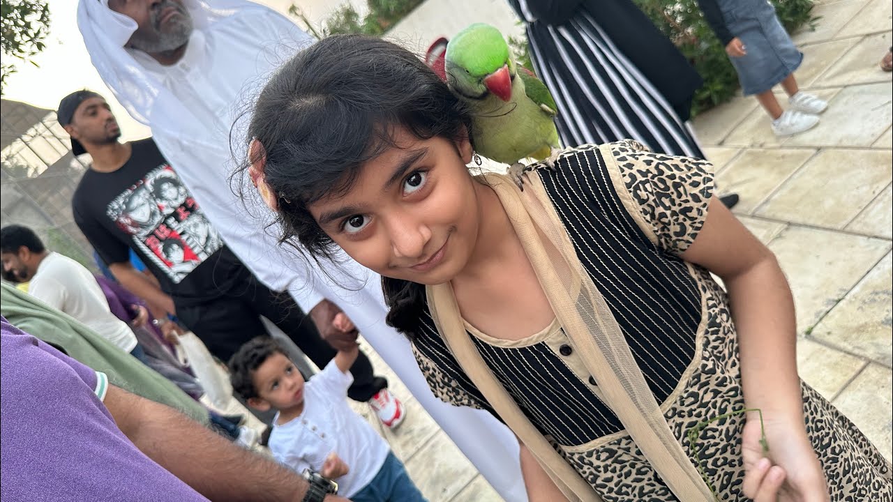 The zoo wild life park in umm al quwain/zoo in U.A.E/must visit place ...