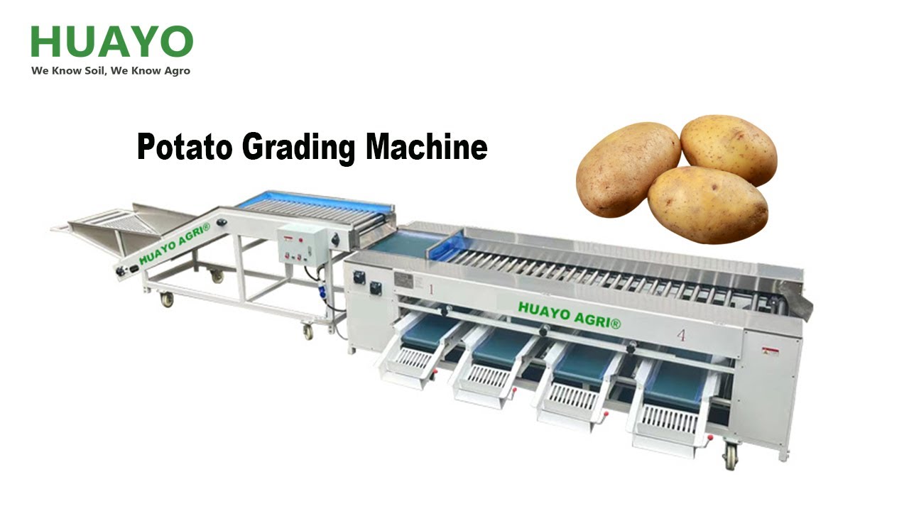 Small Potato Grading automaticlly with Roller Grader for commercial use ...