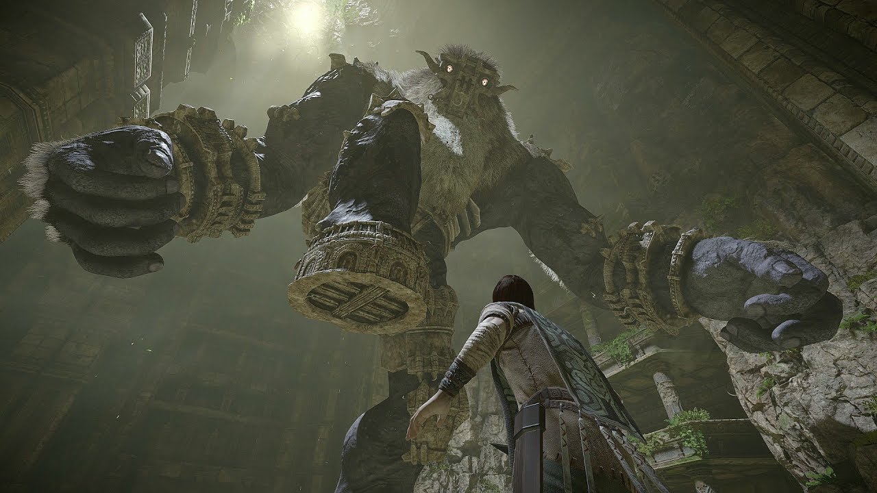 Barba Shadow Of The Colossus