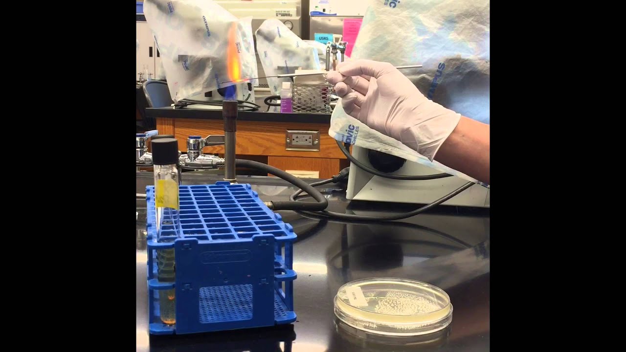 Demo of Aseptic Transfer - Dr. Ulrich - YouTube