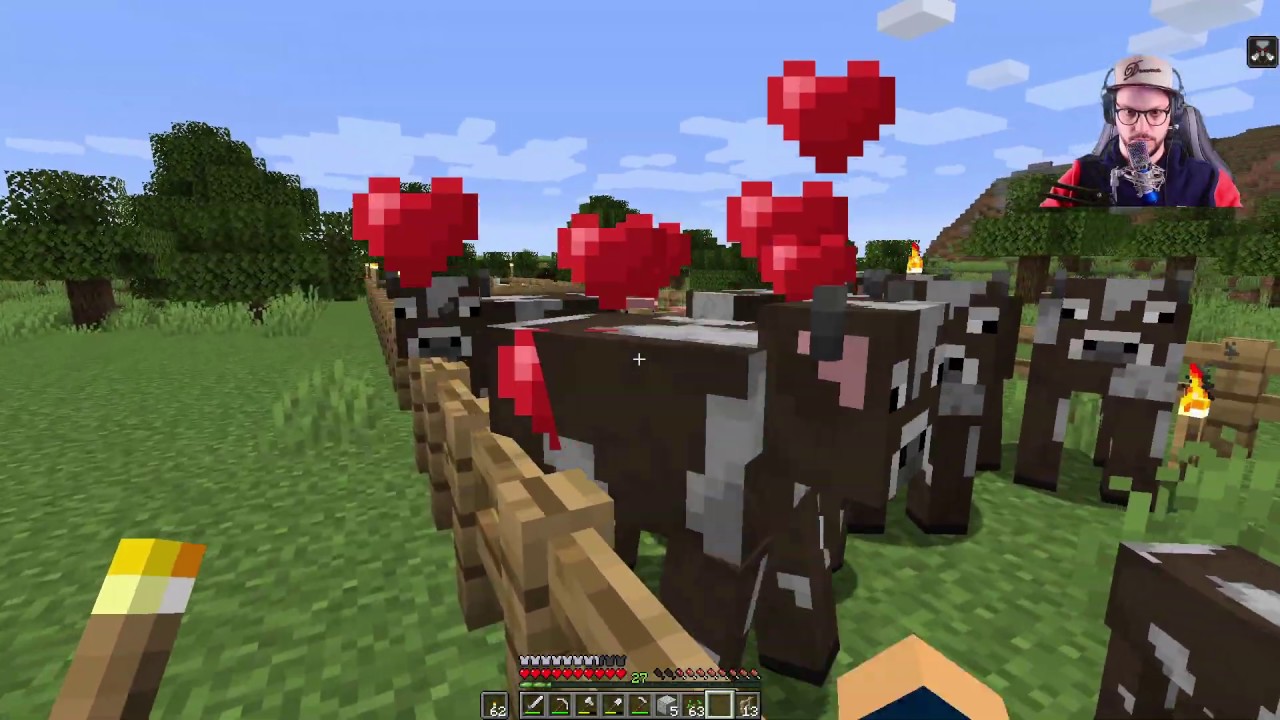 Minecraft S1E17 - Die AUTO-STEAK-FARM will nicht wie ich will - YouTube