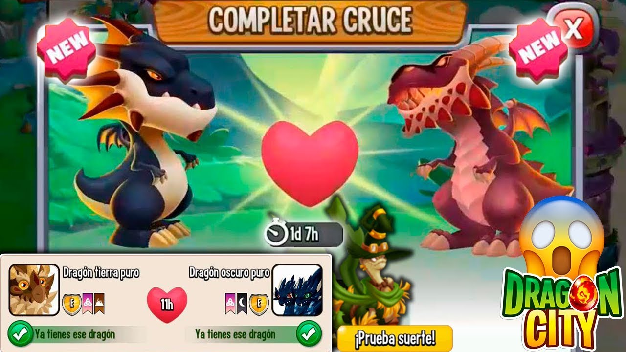 Dragon City: Chibi-Chim Dragon Vs. Chibi-Chom Dragon [2 EXCLUSIVE ...