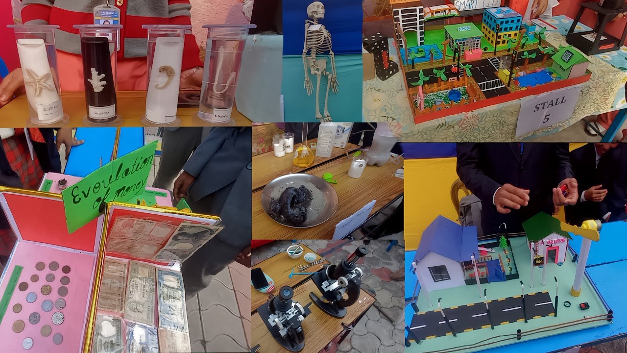 Science Exhibition In My College || Exhibition Day #science # ...