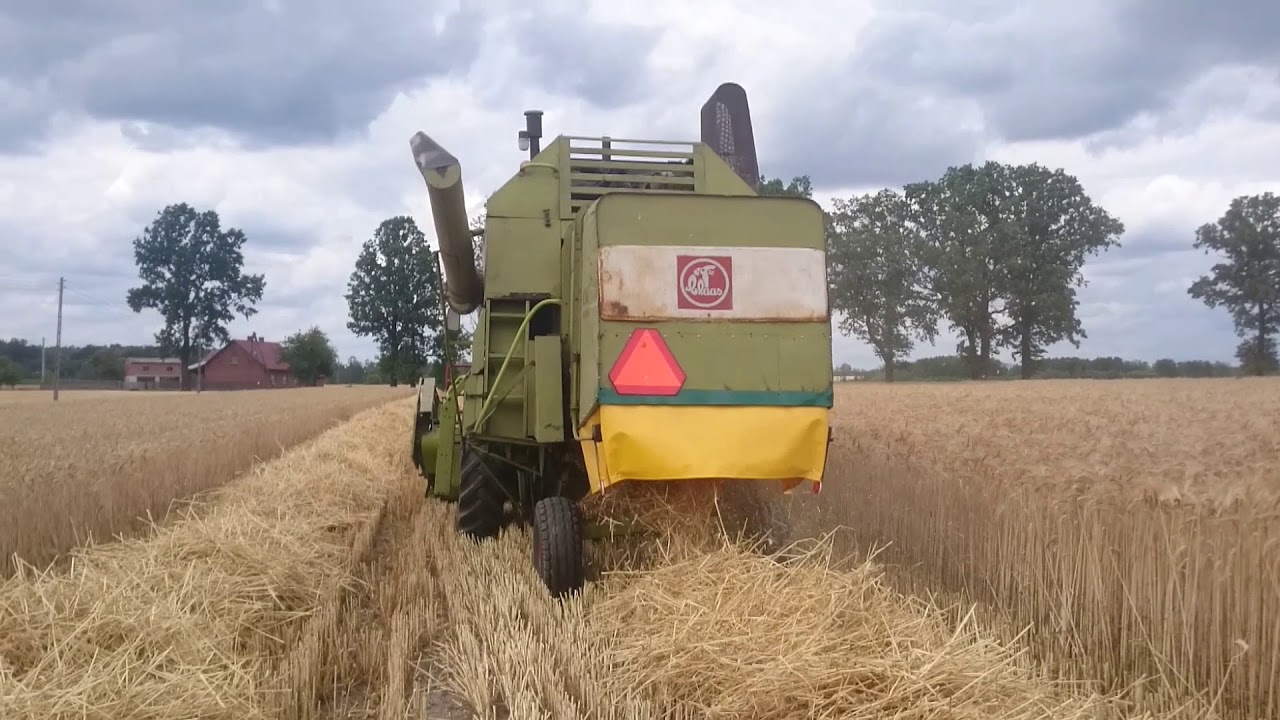 Akcja żniwa czyli pszenżyto 2019 Claas Protector w akcji !!! - YouTube