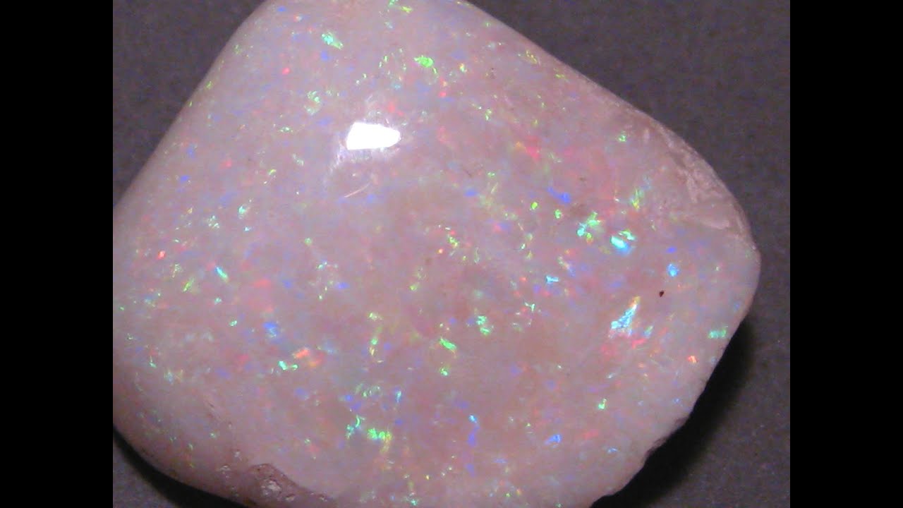 Fossilized Whole Shell Opal - YouTube