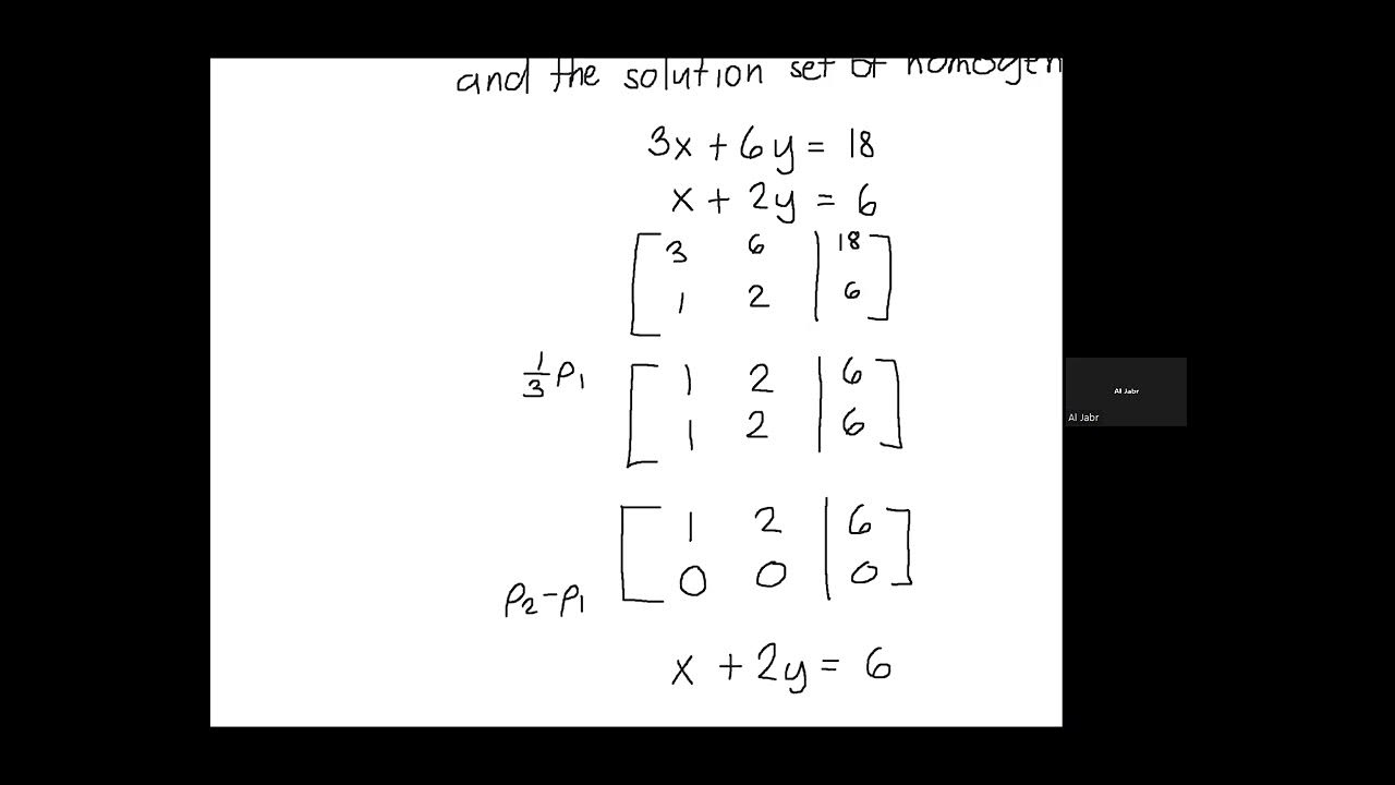 Express solution using vectors. Identify particular solution and ...