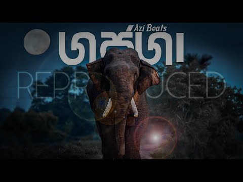 GAJAGA (ගජගා) - Reproduced Music | Azi Beats Music - YouTube