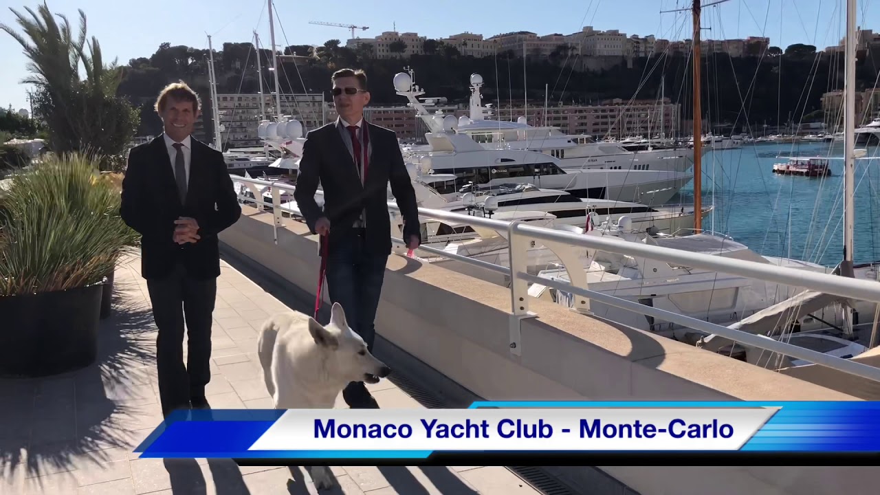 Monaco Yacht Club Jacques Pastor PWG Sport & Dogs 🇲🇨 - YouTube