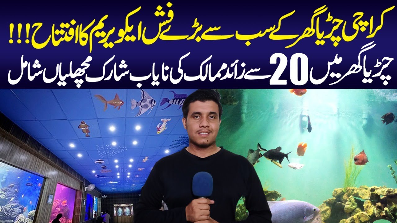 Fish Aquarium in Karachi Zoo | Shark Fish | Fish in Aquarium | Garden ...