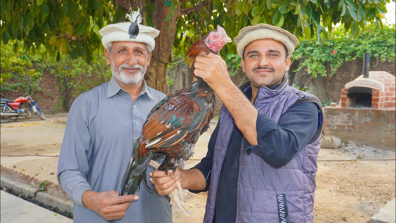 Desi Aseel Chicken Curry Recipe, Rooster 🐔 with White pepper. - YouTube