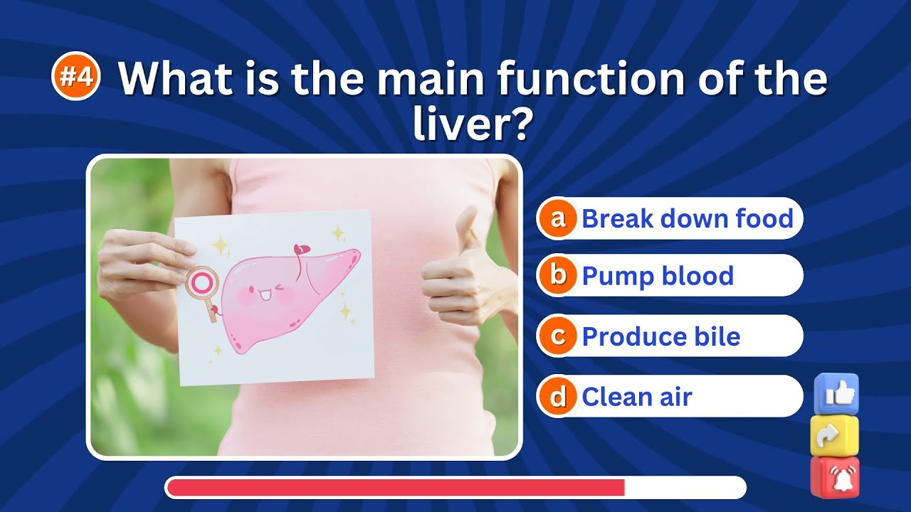 Fun Science Quiz for Kids! 🌟 | 30 Science Questions | Human Body! - YouTube